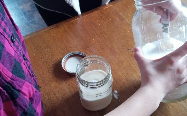 Ice Cream in A Jar: Simple and Delicious Recipe for Kids