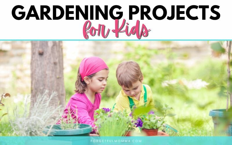 Gardening Projects for Homeschool: Fun and Educational Ideas