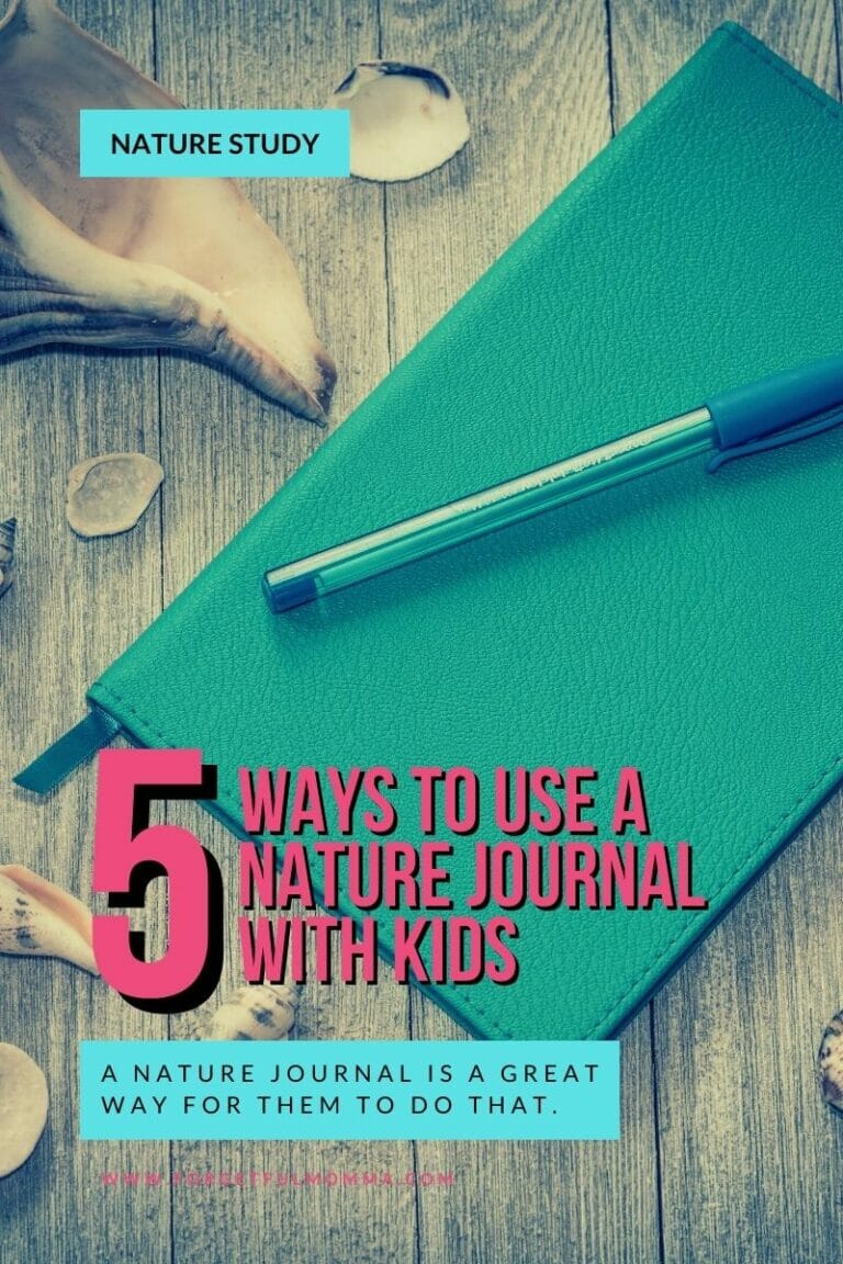 5 Ways to Use A Nature Journal with Kids