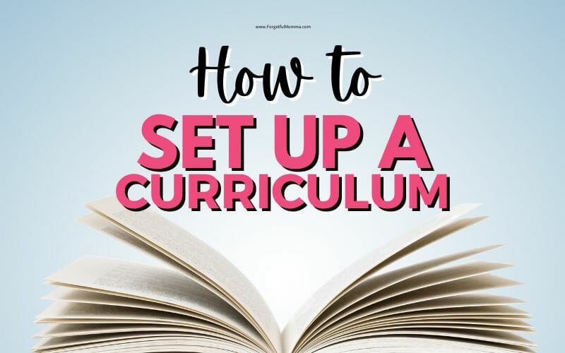 How to Set Up A Curriculum
