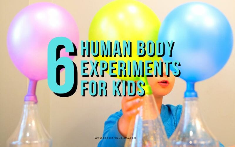 Human Body Experiments for Kids