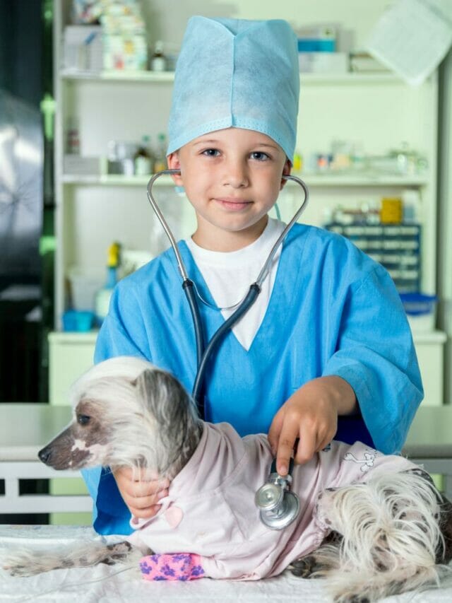 Veterinary Science for Kids - Forgetful Momma
