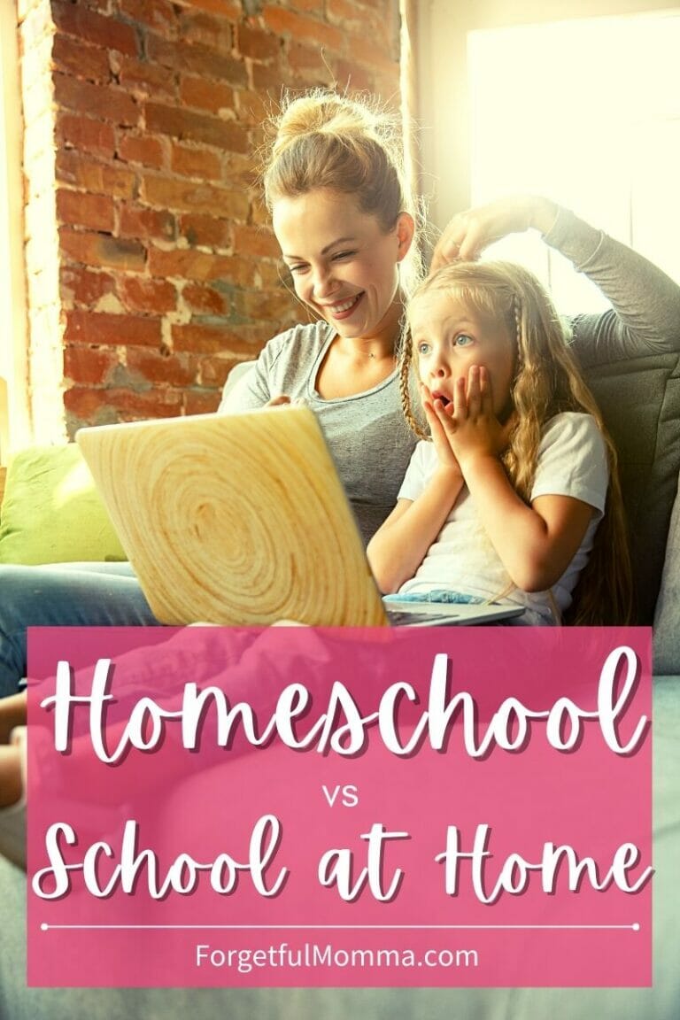 Homeschooling vs. School At Home