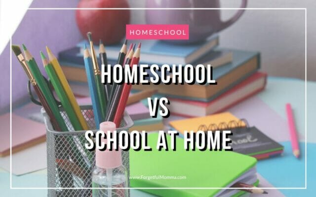Homeschooling vs. School At Home