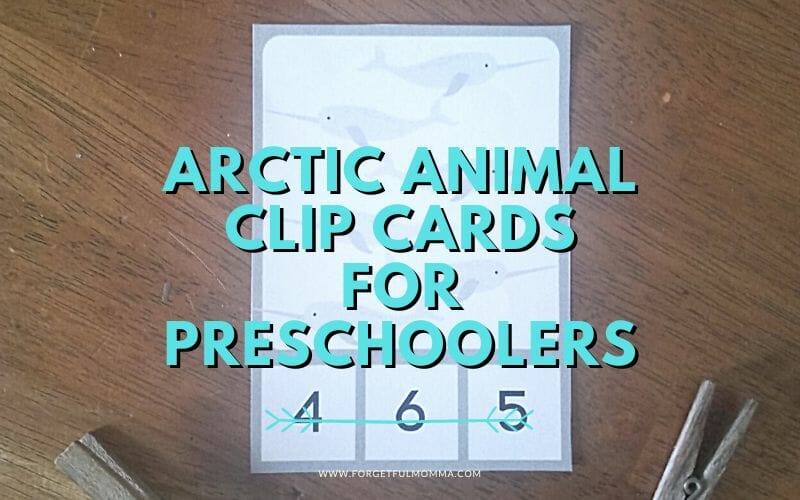 Arctic Animal Clip Cards for Preschoolers