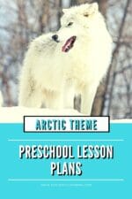Arctic Theme Preschool Lesson Plans