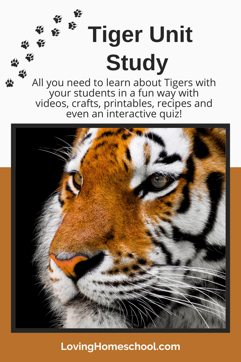 Free Animal Unit Studies: Fun and Educational Activities for Kids