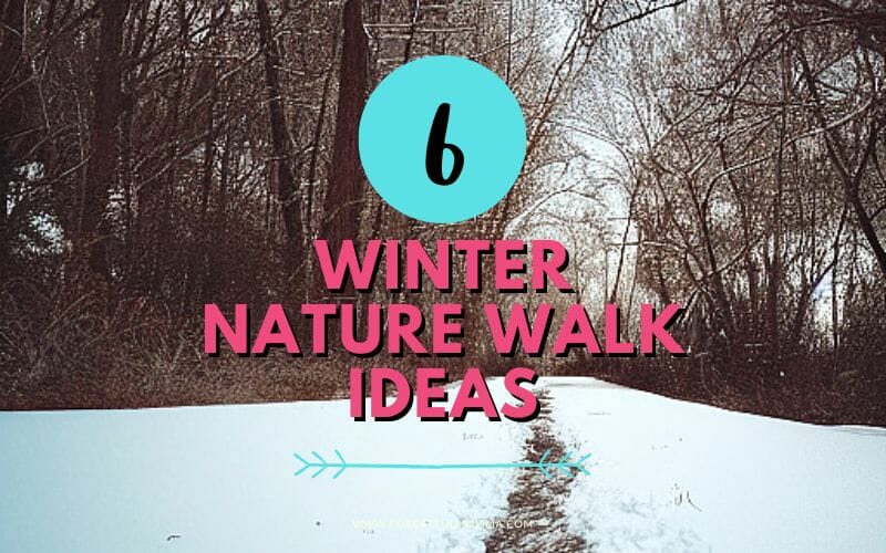 Forgetful Momma - Secular Homeschooling