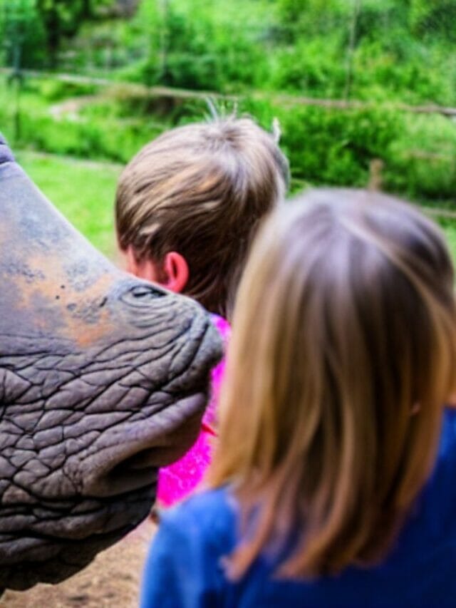 Learning About Animals in Your Homeschool - Forgetful Momma