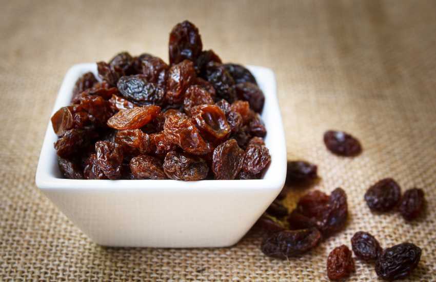 What Is the Purpose of the Dancing Raisins Experiment for Kids?