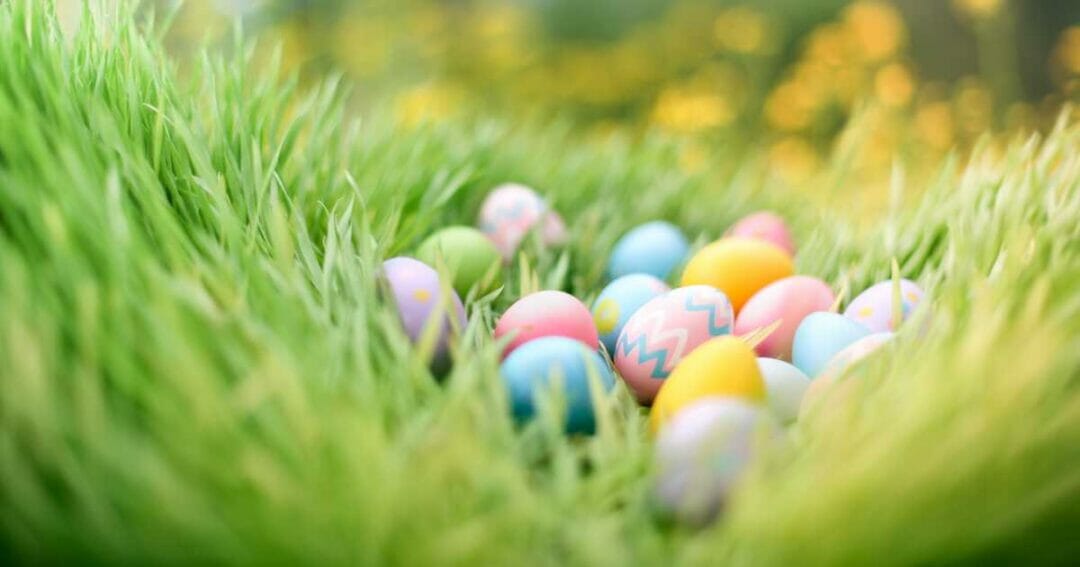 15 Creative Easter Rock Painting Ideas to Try This Year